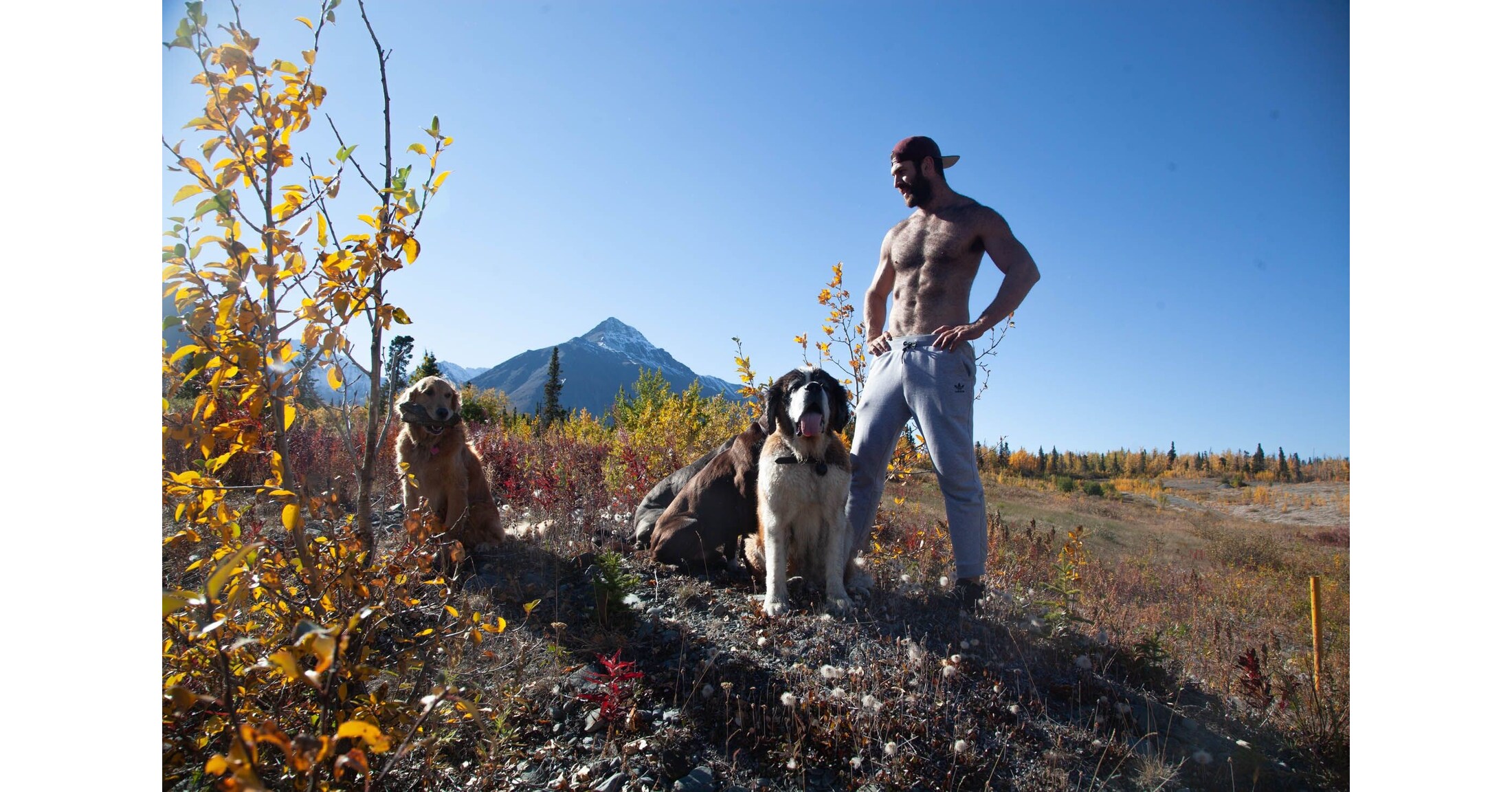 LILLIE&LEE LAUNCHES AMERICA'S FIRST COMPLETE PET AND HUMAN WELLNESS ...