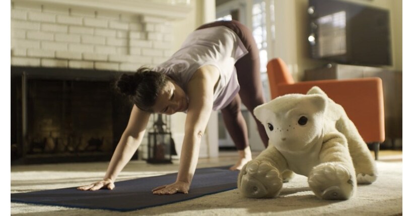 Roomba Pioneer Colin Angle Unveils New Venture, Familiar Machines ...