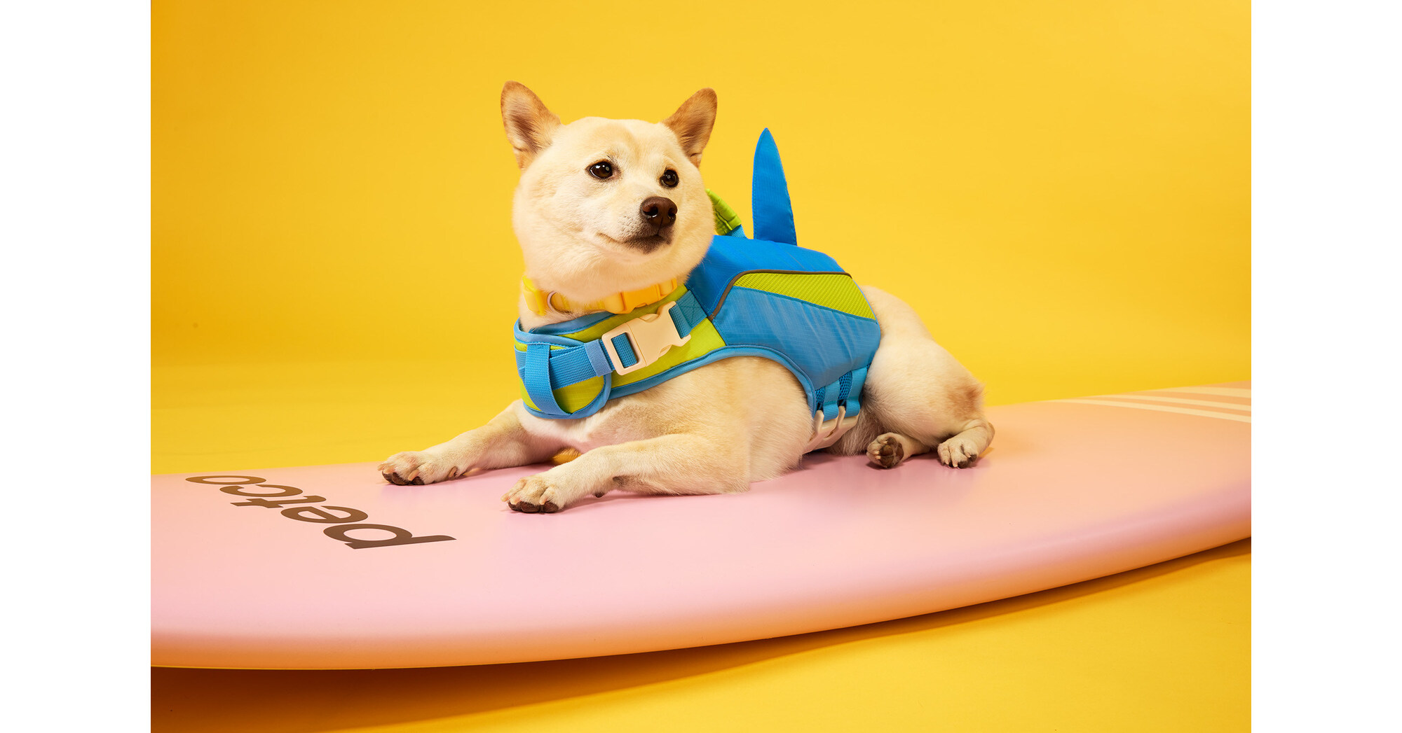 Petco Unveils Summer Collection Packed with New, Exclusive Must-Haves ...