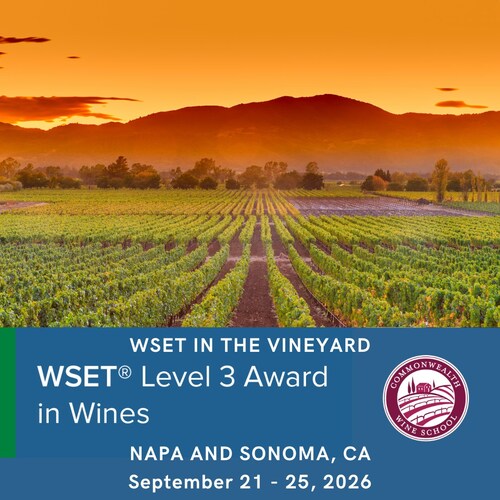 Commonwealth Wine School Launches "WSET in the Vineyard," an Immersive ...