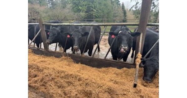 Preserving Farming Heritage: Innovative Concrete Solution Extends ...