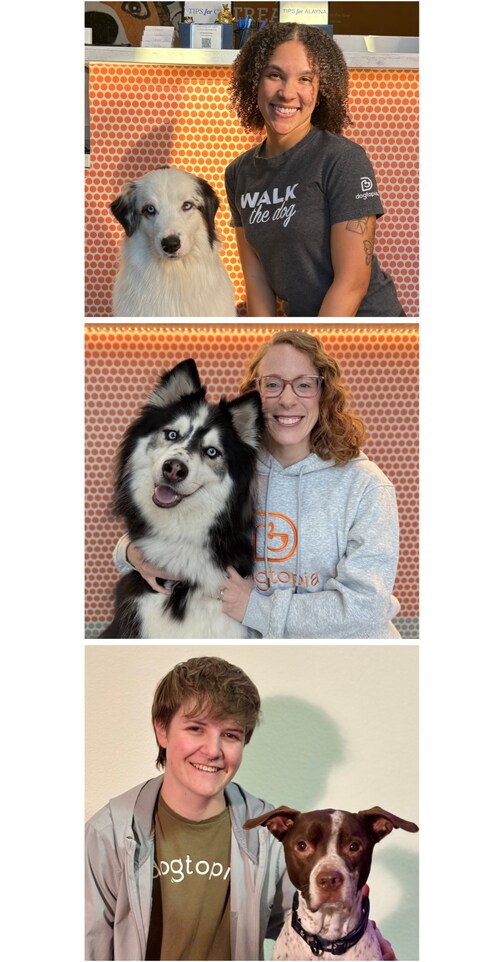 Dogtopia Launches Canine Behavior Expert Council to Advance Dog Wellness