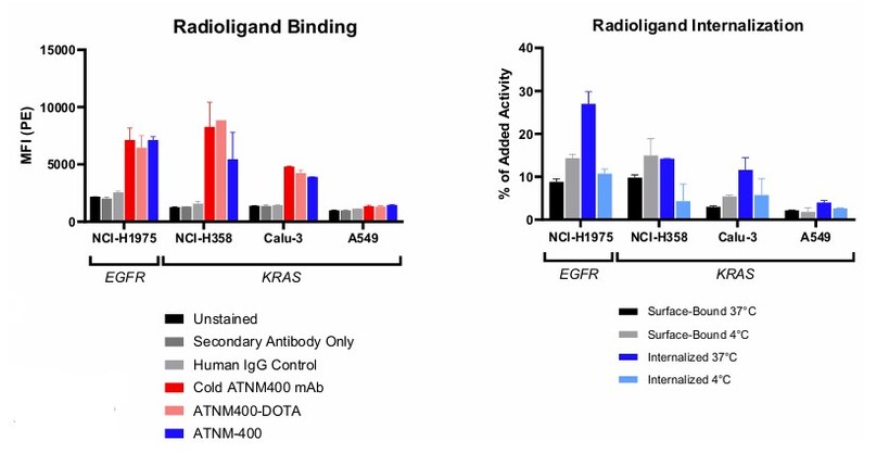 Actinium Presents New ATNM-400 Data in KRAS and EGFR Mutant Models at ...