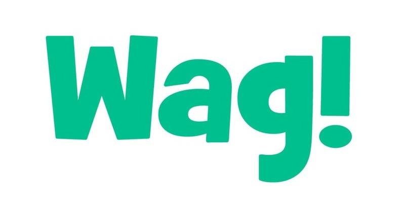 Wag! Tag: The Smarter Way to Get Your Pup Home is Now Available to Pet ...
