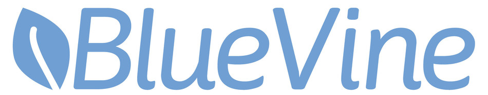 Fintech Startup BlueVine Raises $49 Million in Series D Funding