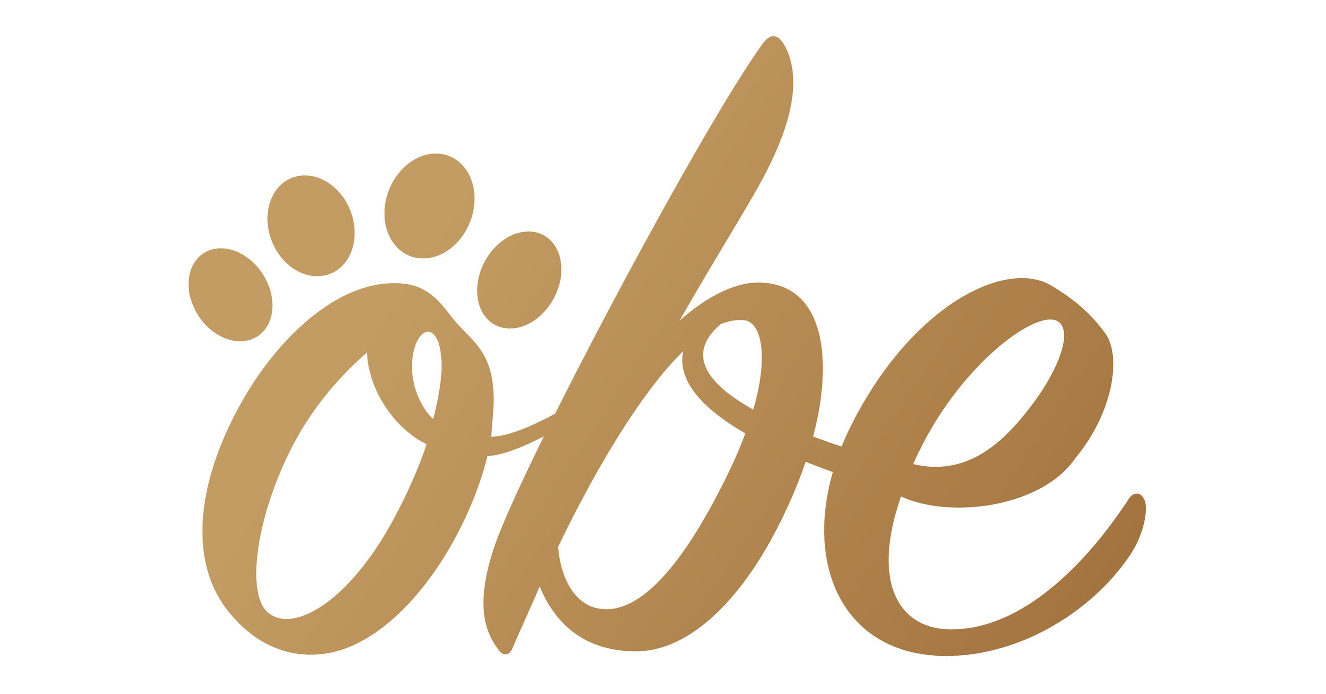 ProBowl Makes Dog and Cat Mealtime more Memorable