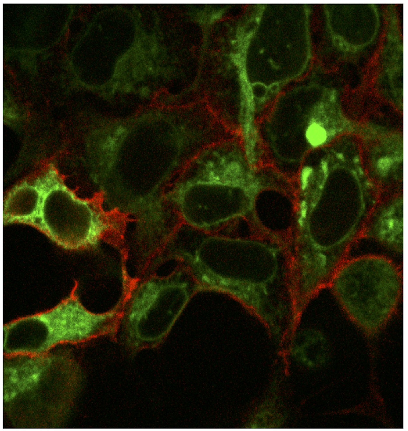 Sharp Edge Labs Enters into Drug Discovery Collaboration with Sumitomo ...
