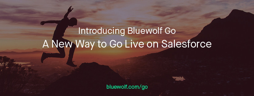 Bluewolf Launches Bluewolf Go; Consulting Reimagined to Get Companies ...