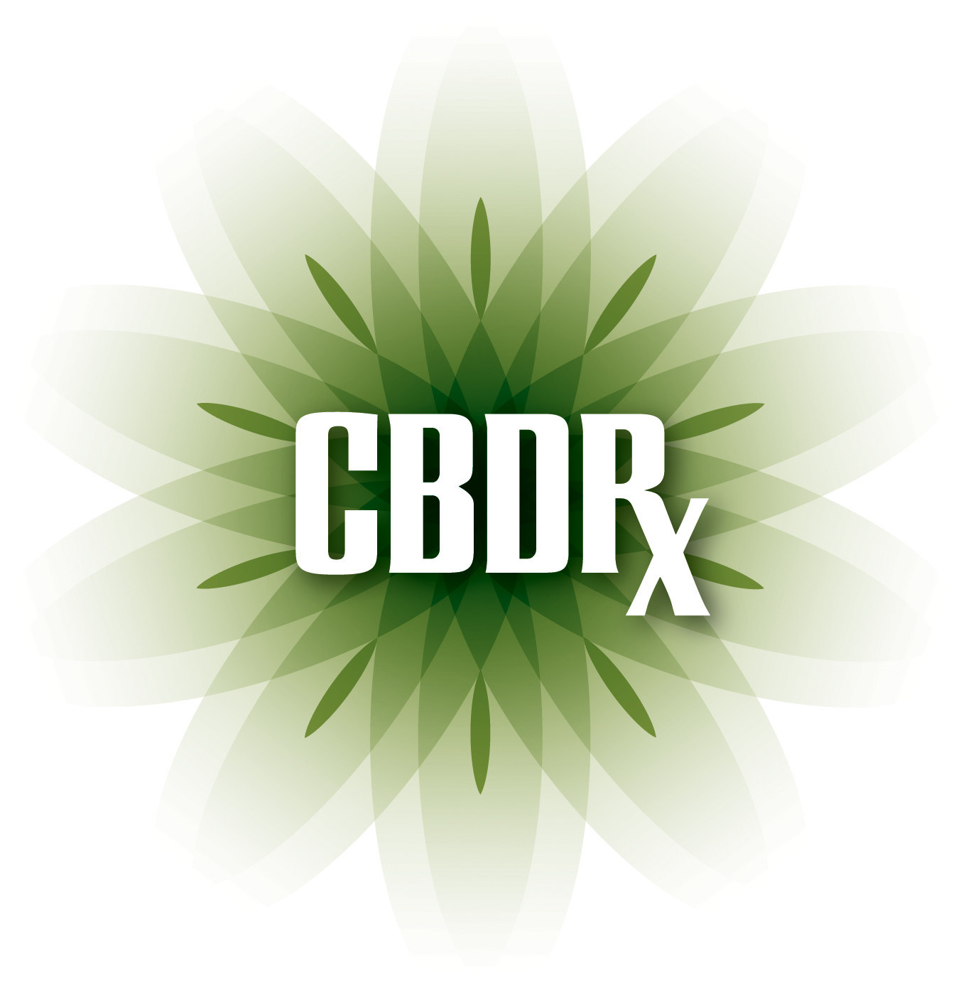 CBDRx Honors America's Veterans