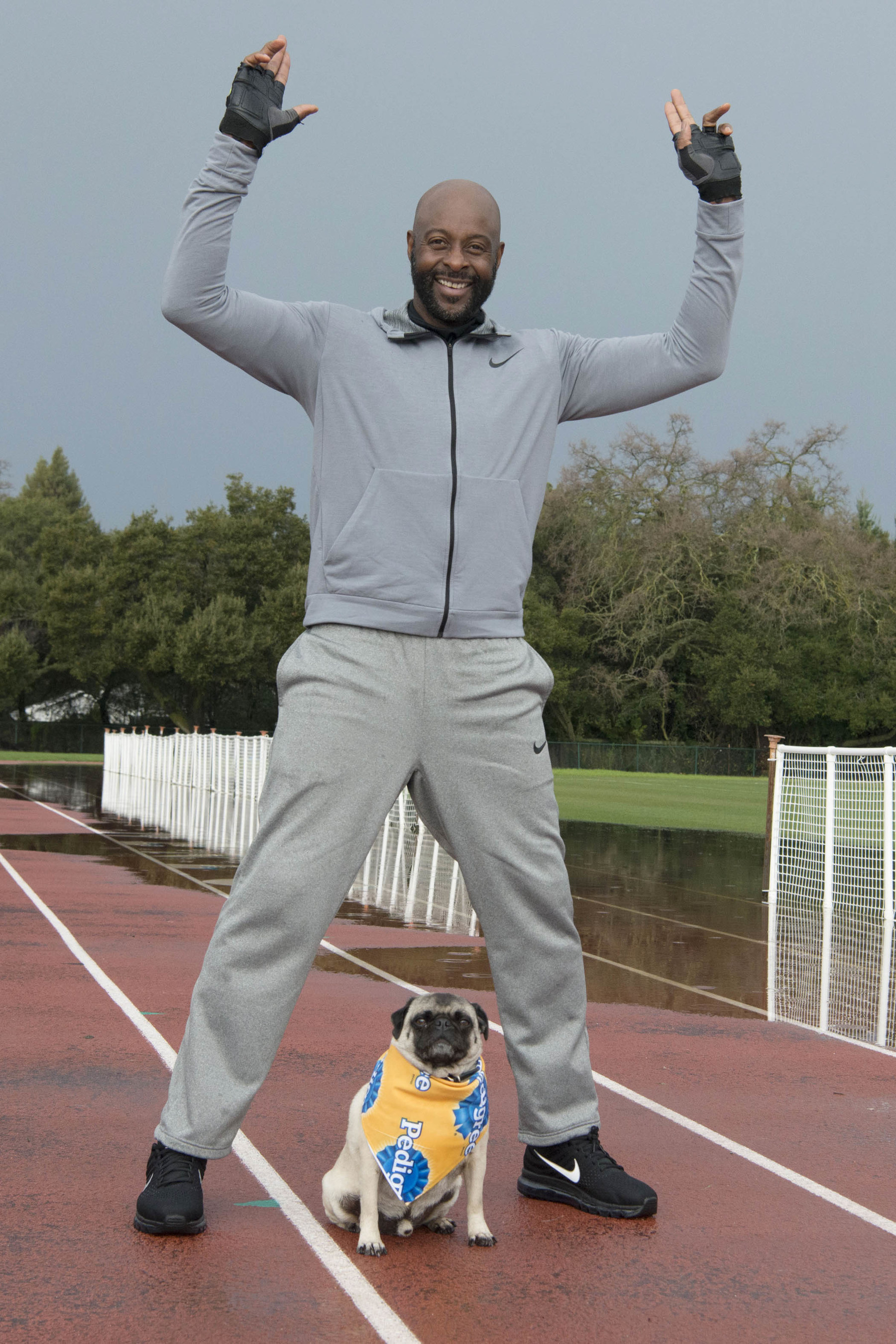 PEDIGREE® Brand Partners With NFL Legend Jerry Rice To Gear Up For New ...