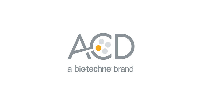 BIO-TECHNE'S ADVANCED CELL DIAGNOSTICS (ACD) SETS NEW STANDARD IN ...