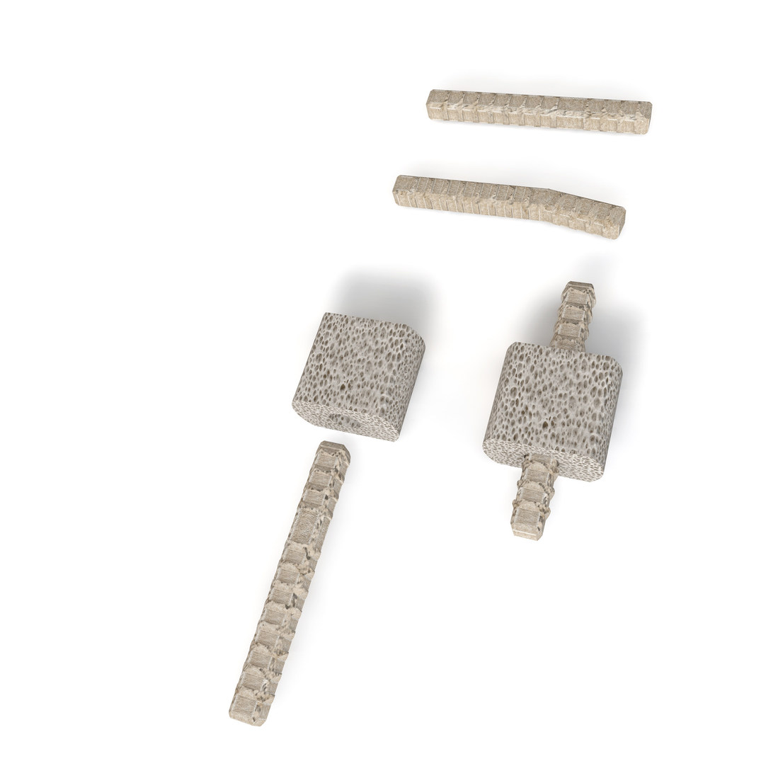 Paragon 28® announces the launch of first aseptically processed ...