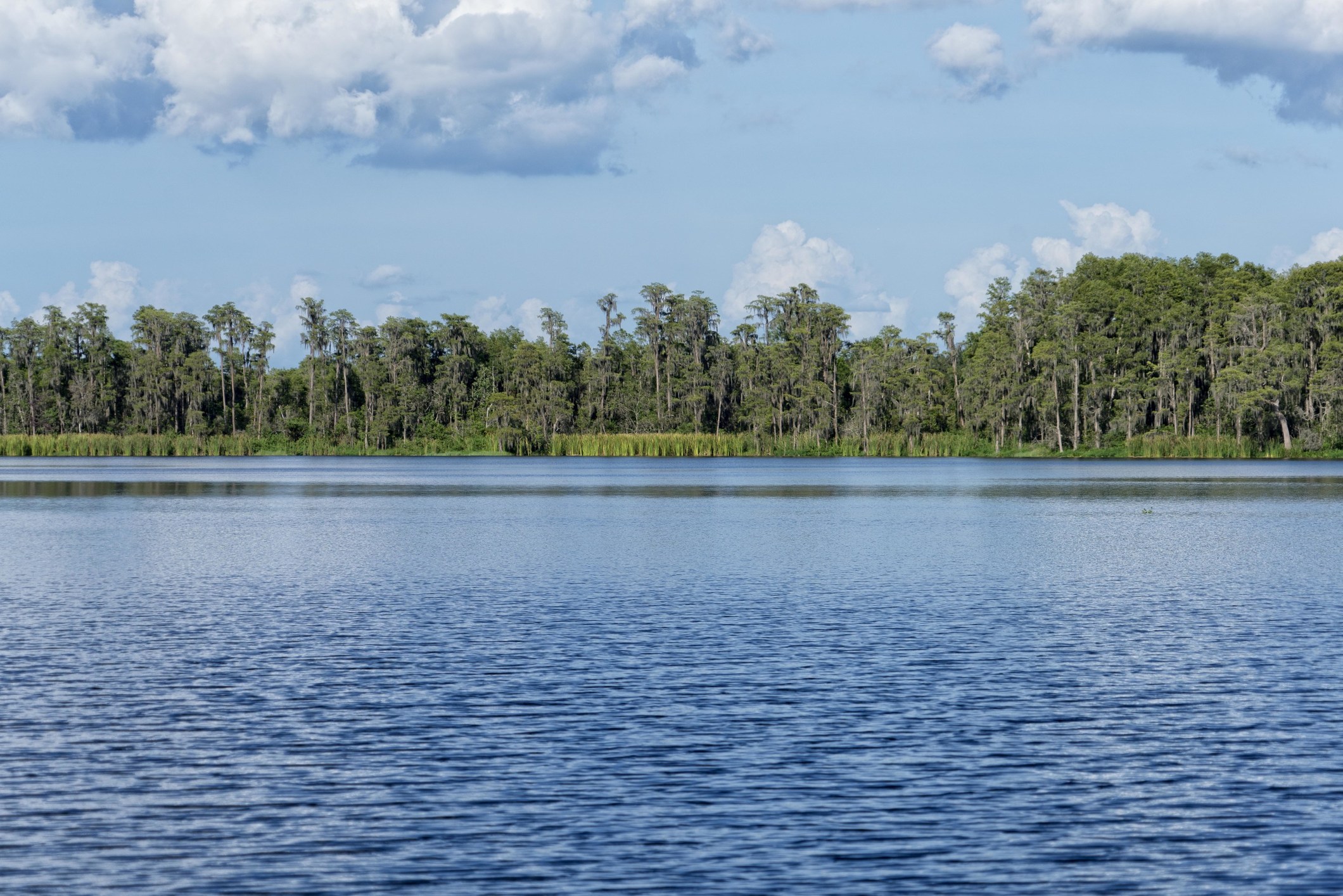 Lake County Community Offers Large Acreage and Waterfront Homesites ...