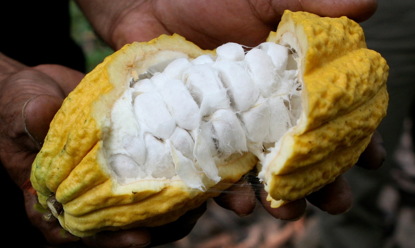 CocoaVia® food supplement available in the UK & Ireland in February 2017