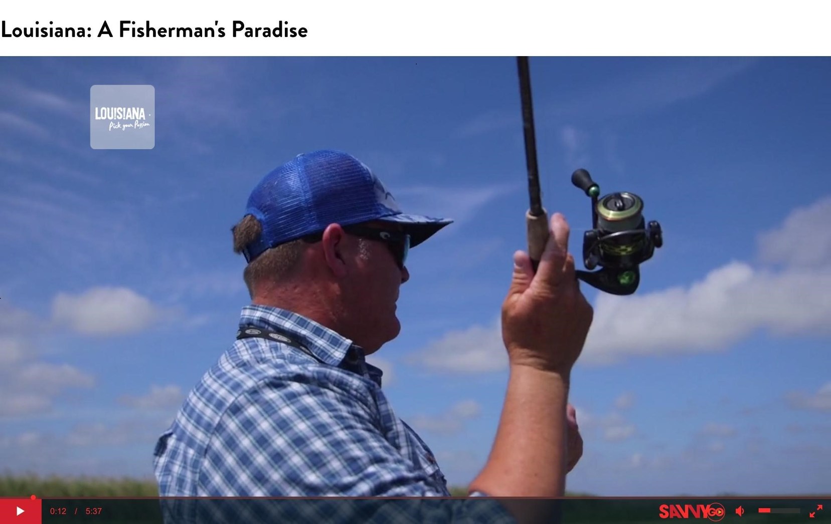 Travel Savvy Tv Launches Artificial Intelligence Technology Across ...