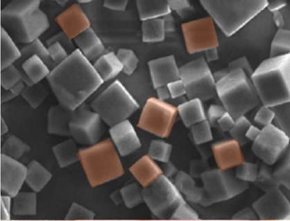 Protein Microcrystals Could Offer a Better Way to Treat Osteoarthritis