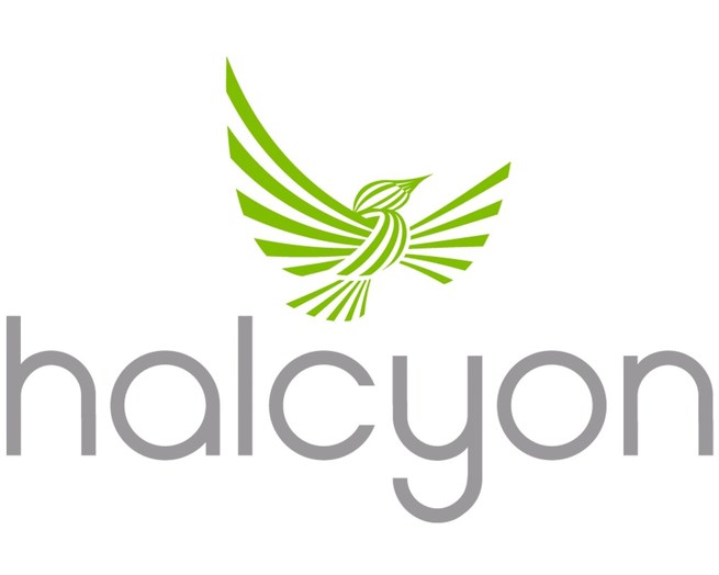 Announcing Halcyon