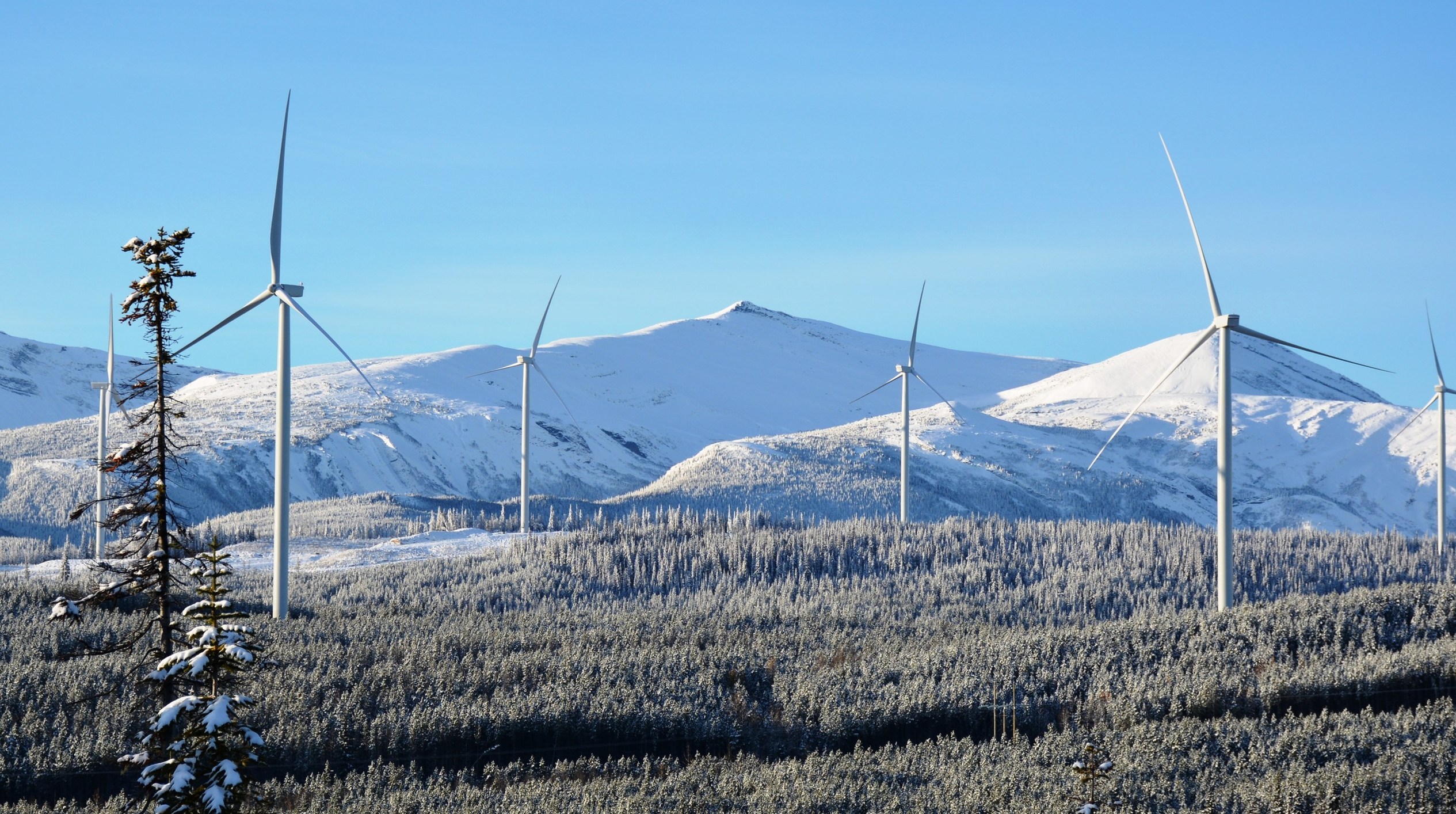 Pattern Development Completes Largest Wind Power Project in British ...