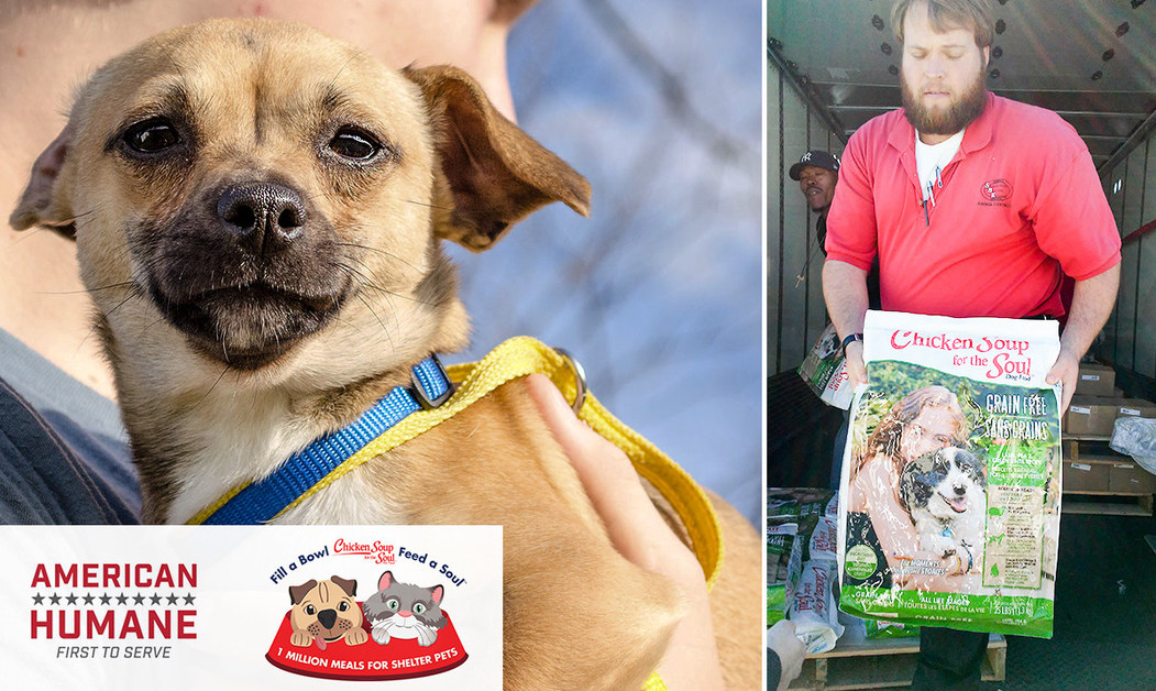 American Humane and Chicken Soup for the Soul Pet Food Work Together to ...