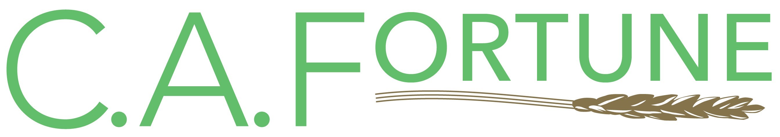 C.A. Fortune Expands Agency to Southwest