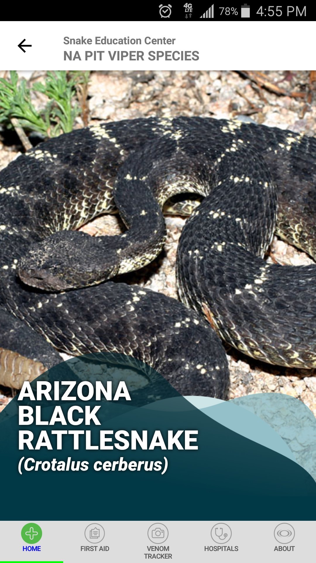 SnakeBite911™ Expands Free Snake Education and Snakebite Safety App to ...