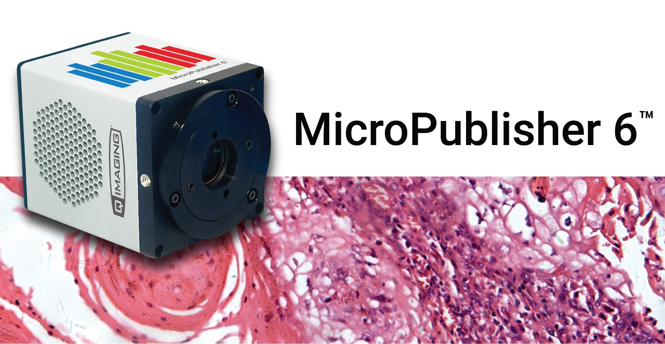QImaging® Releases New MicroPublisher 6™ Color Camera for Research ...