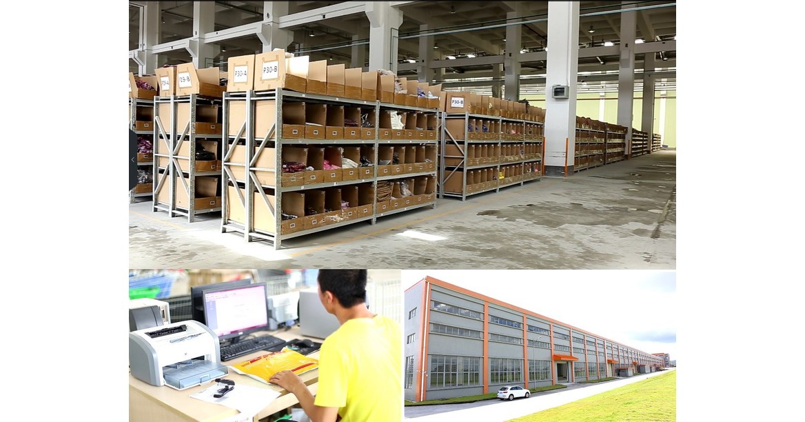 Globalegrow: Developing cross-border e-commerce and improving logistics ...