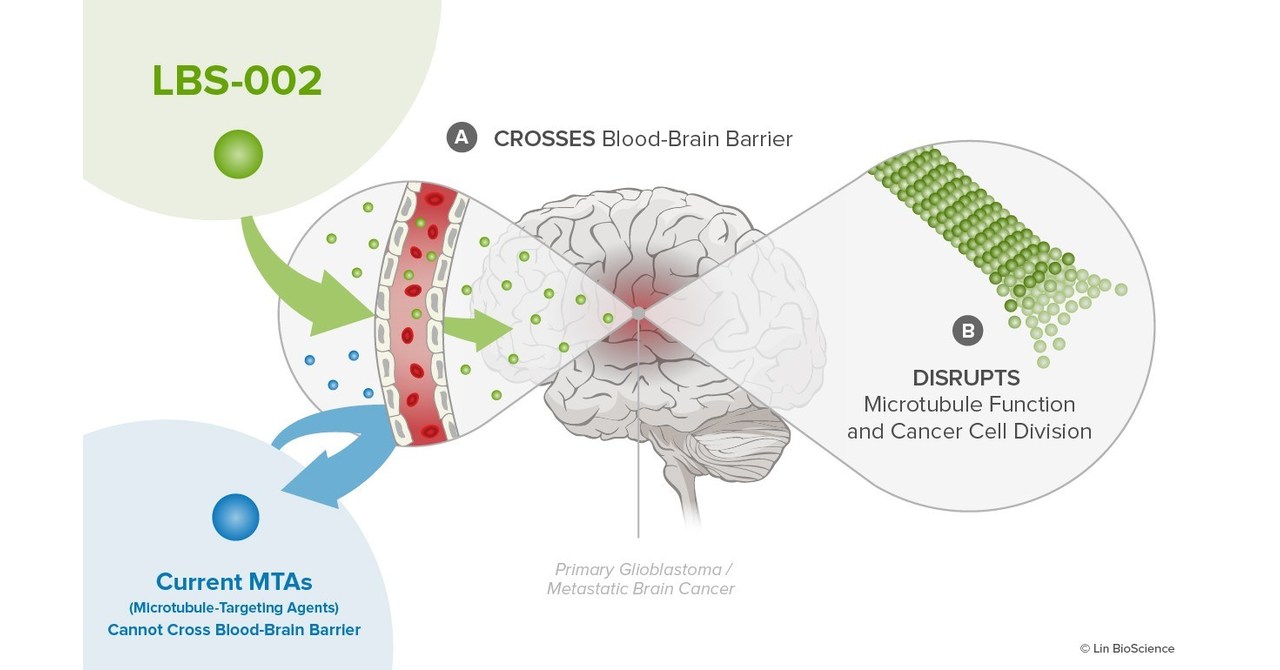 Lin BioScience Licenses Novel Therapeutic Program for Brain Cancer from ...