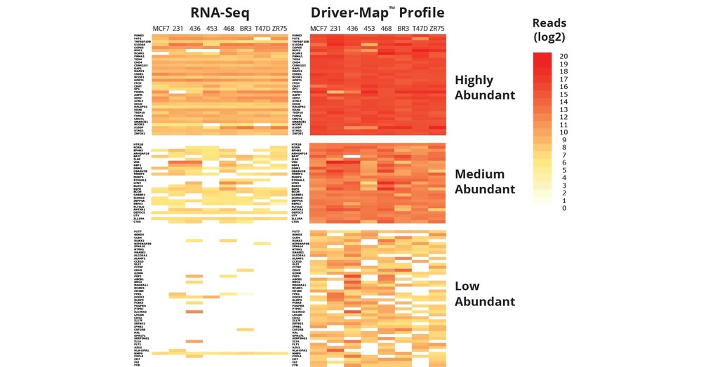 Cellecta, Inc. Launches Driver-Map™ Human Genome-Wide Gene Expression Profiling Kit for 19,000 ...