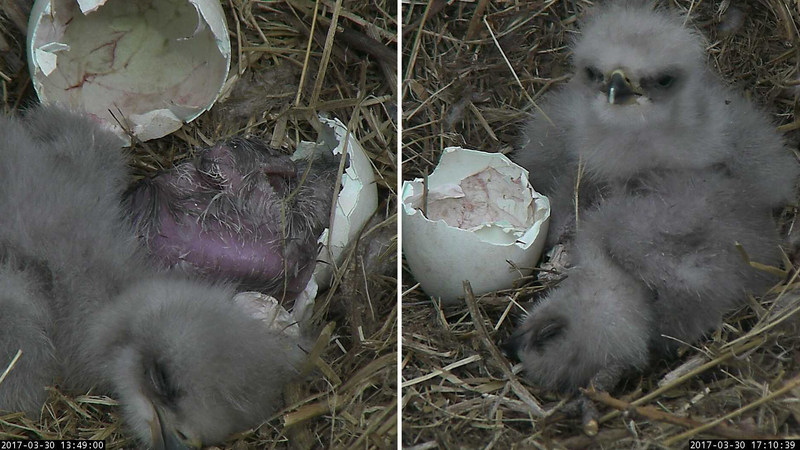 Mr. President & The First Lady Are Proud New Parents…Again!
