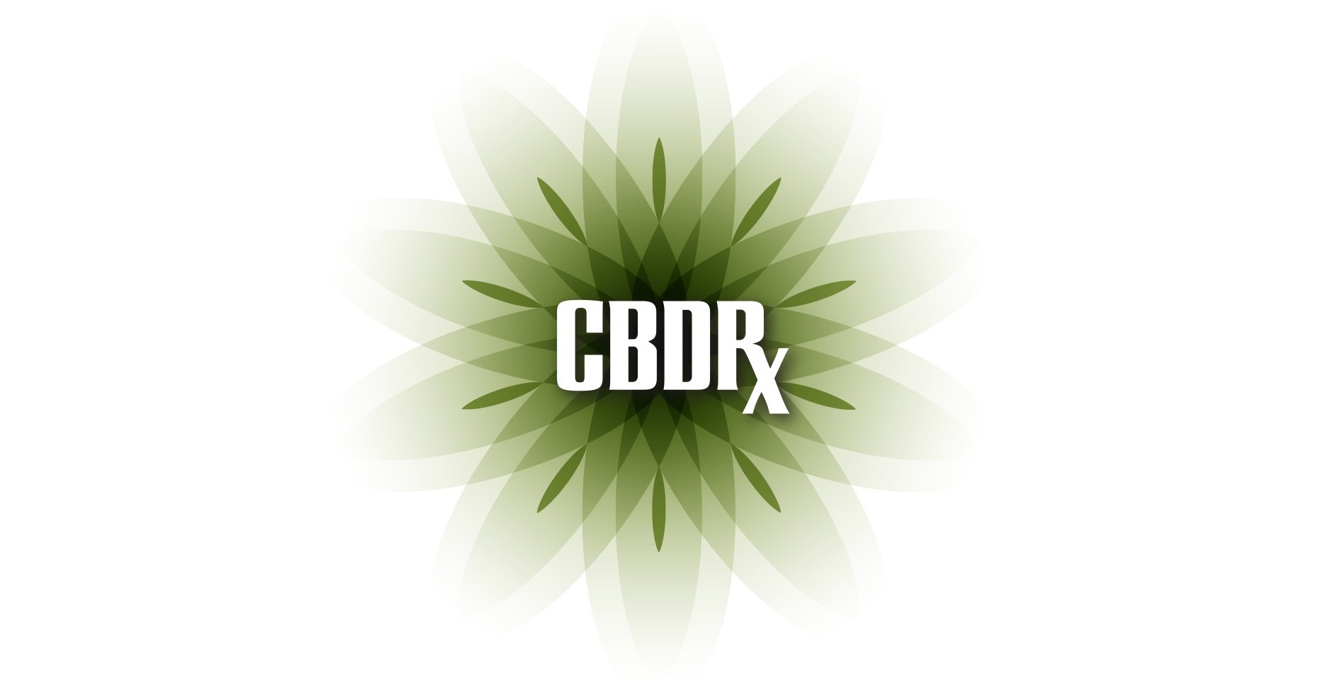 Tim Gordon And CBDRx Are Creating Superior Hemp Genetics Using State Of ...