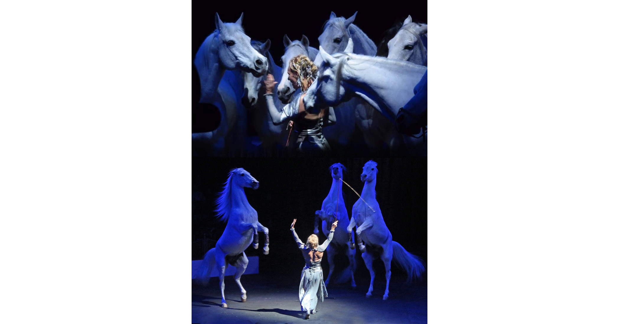 Fiesta of the Spanish Horse Presents Recently Acclaimed CAVALIA Star ...