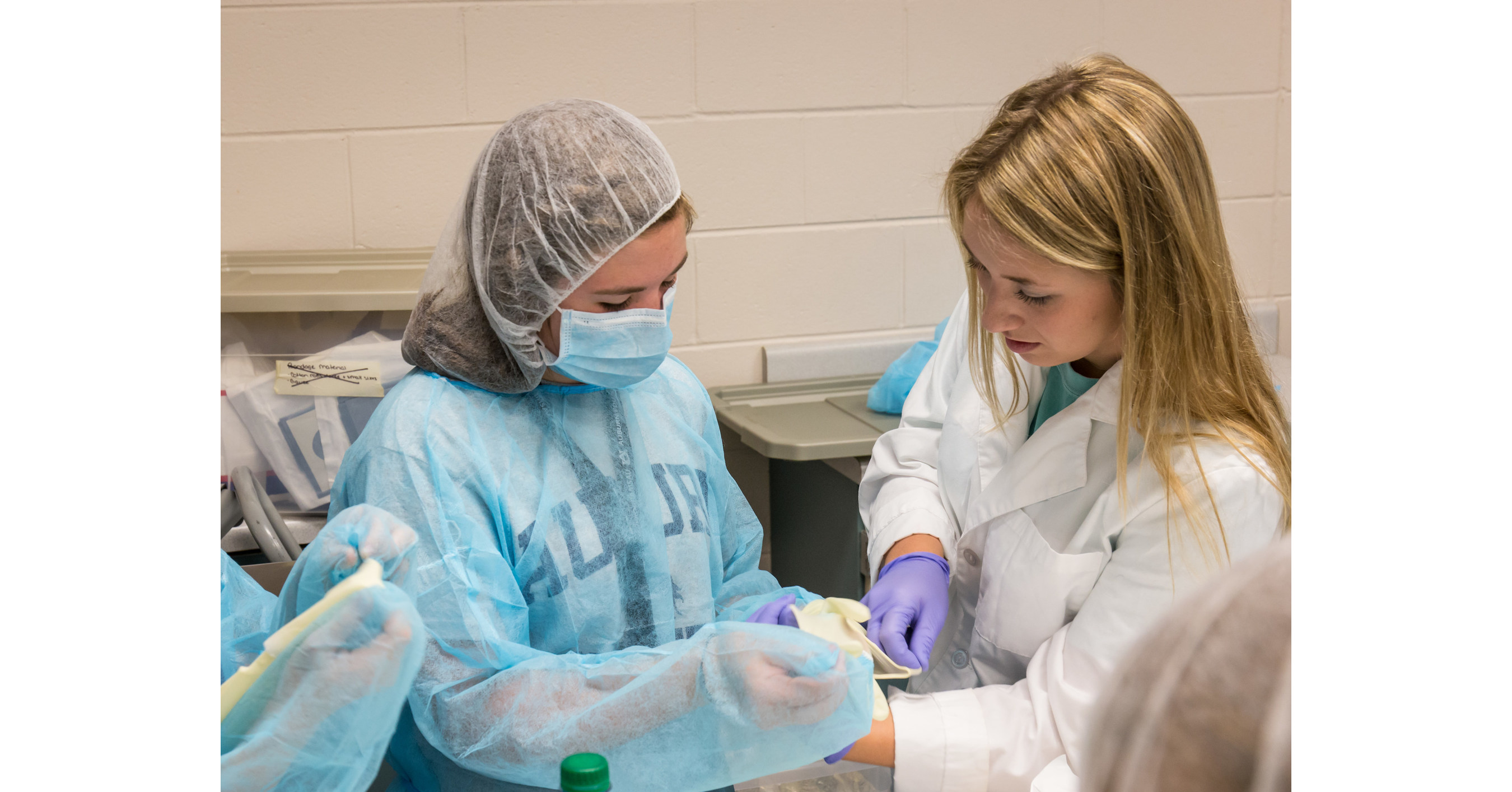 Royal Canin And Vet Set Go Team Up To Launch "Become A Vet: Camp ...