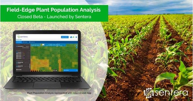 Sentera Launches Closed Beta for Field-Edge Plant Population Analysis
