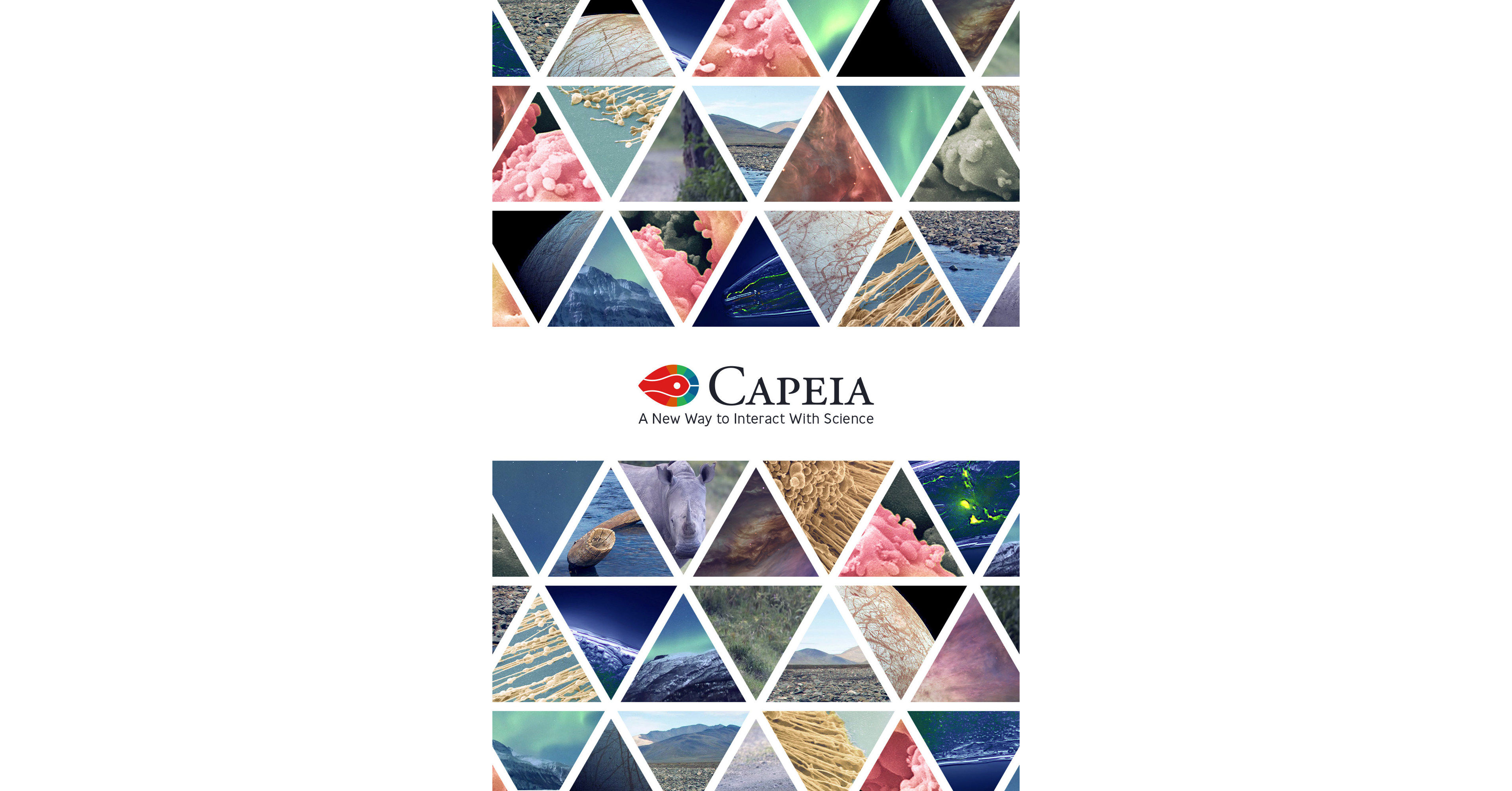 Launch of the Science Platform Capeia