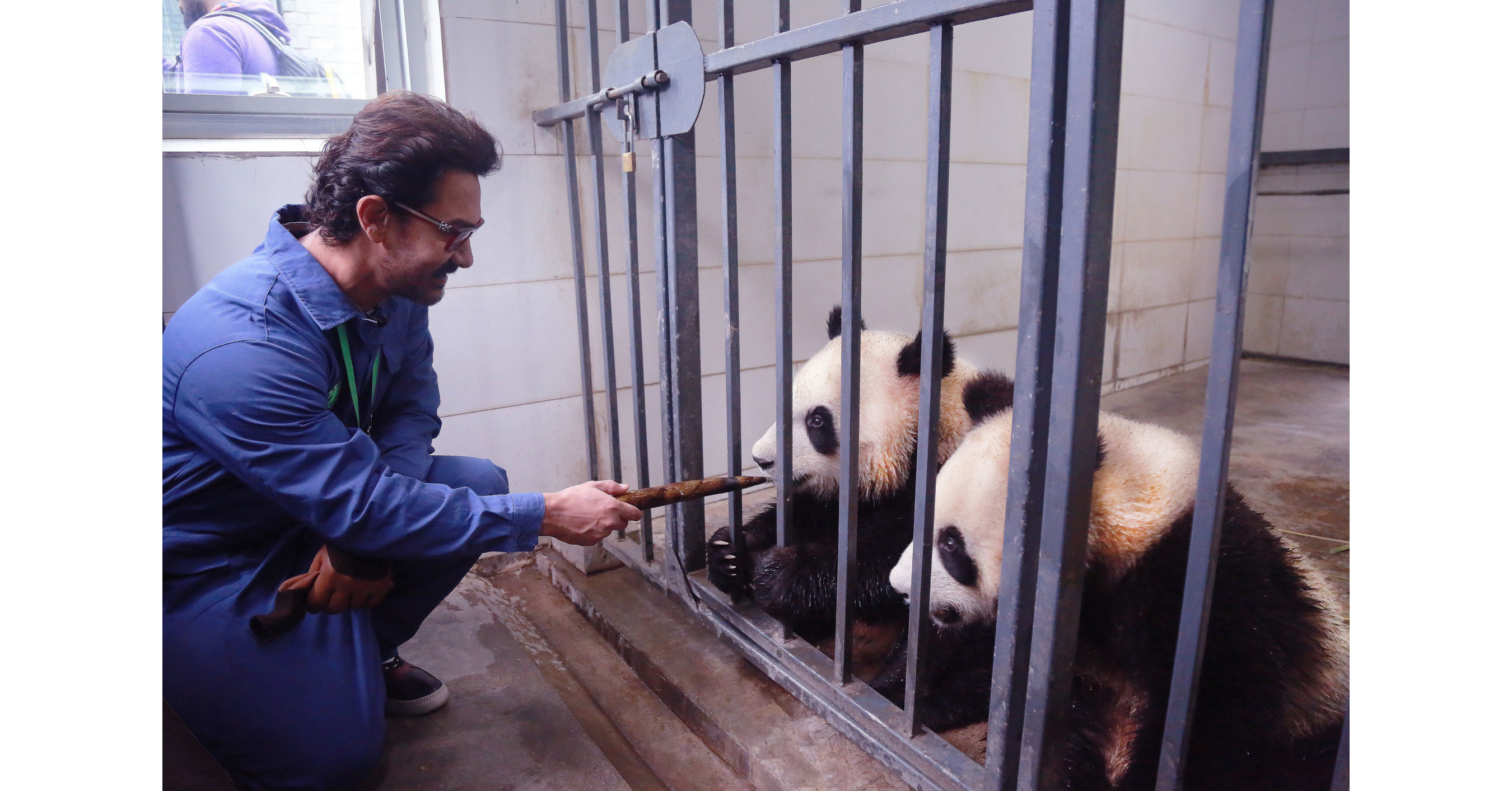 Bollywood's 'Panda' meets giant pandas in Sichuan