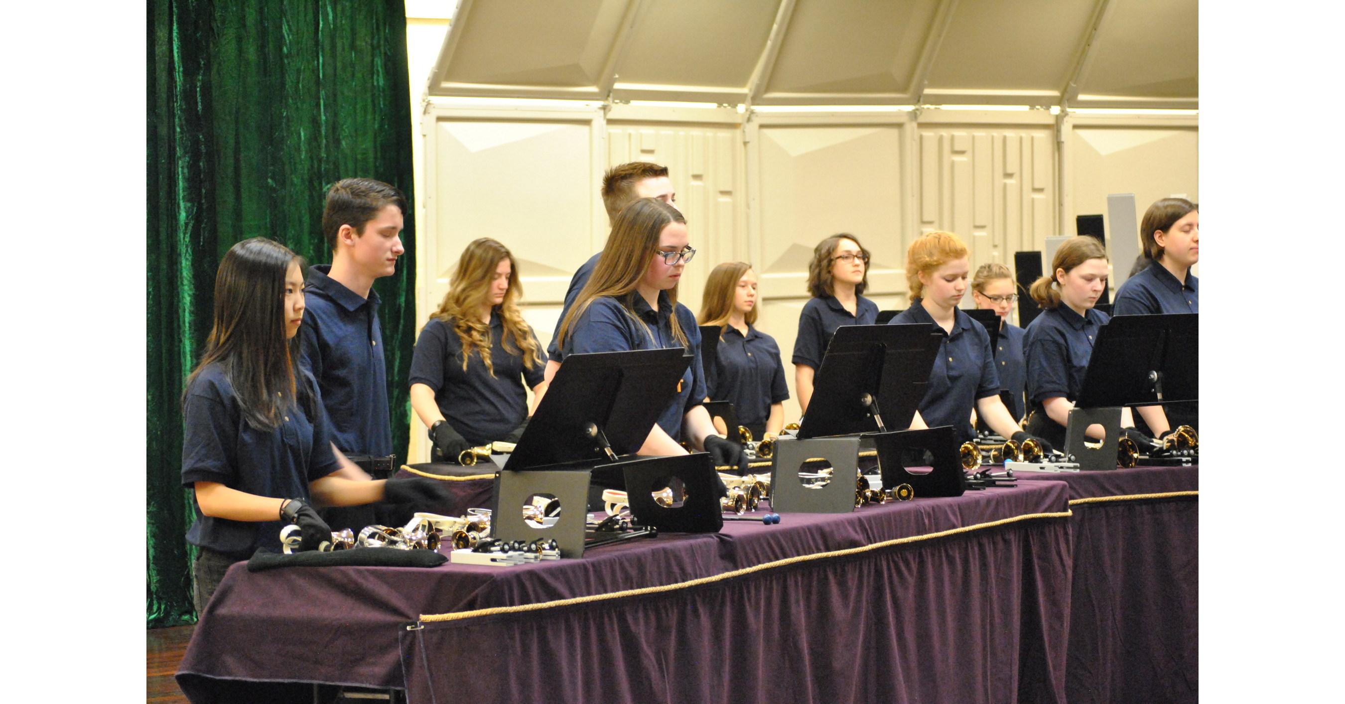 National Honors Handbell Ensemble to "Put a Ring on It" in Fredericksburg