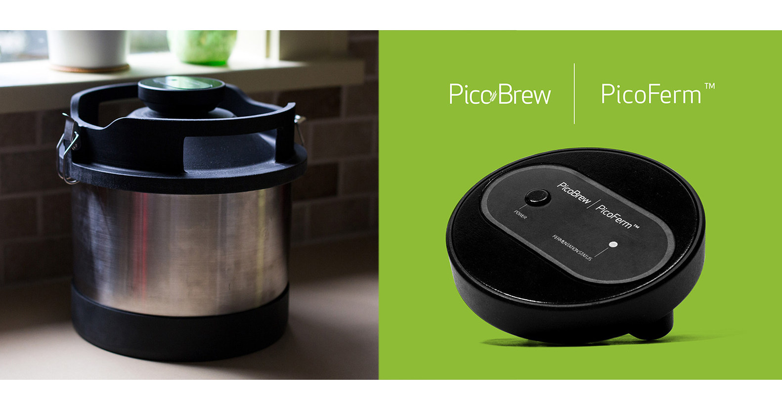 Free Fermentation Monitor If Pico Model C Becomes the Most Successful ...