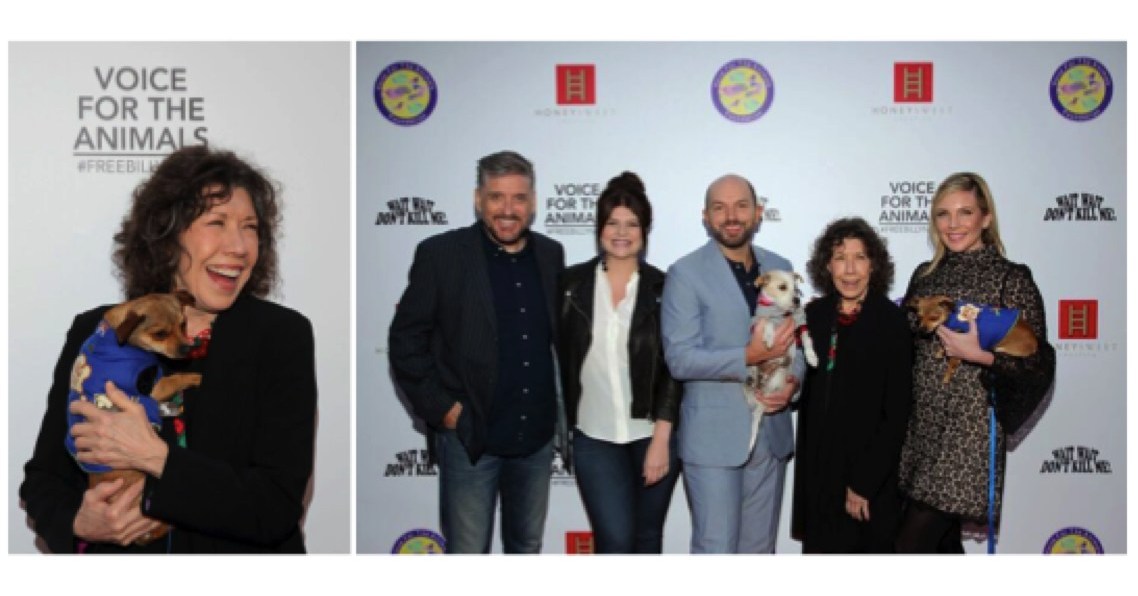 Lily Tomlin Joined June Diane Raphael, Craig Ferguson, Casey Wilson and ...
