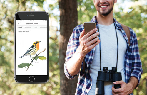 Wildlife Acoustics Suggests Gear to Get ready for the Global Big Day ...