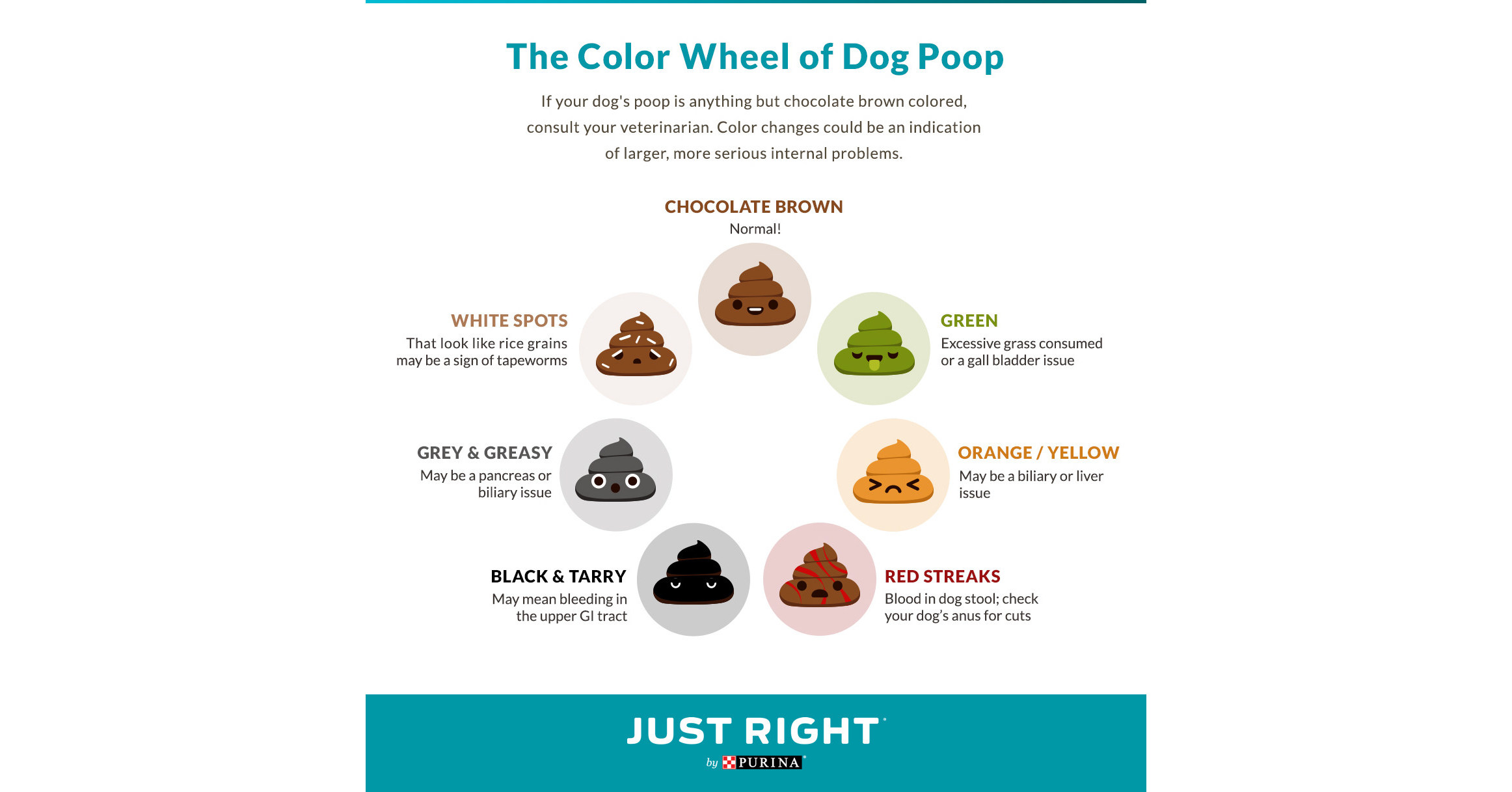 Just Right by Purina Gives the Scoop on Your Dog’s Poop