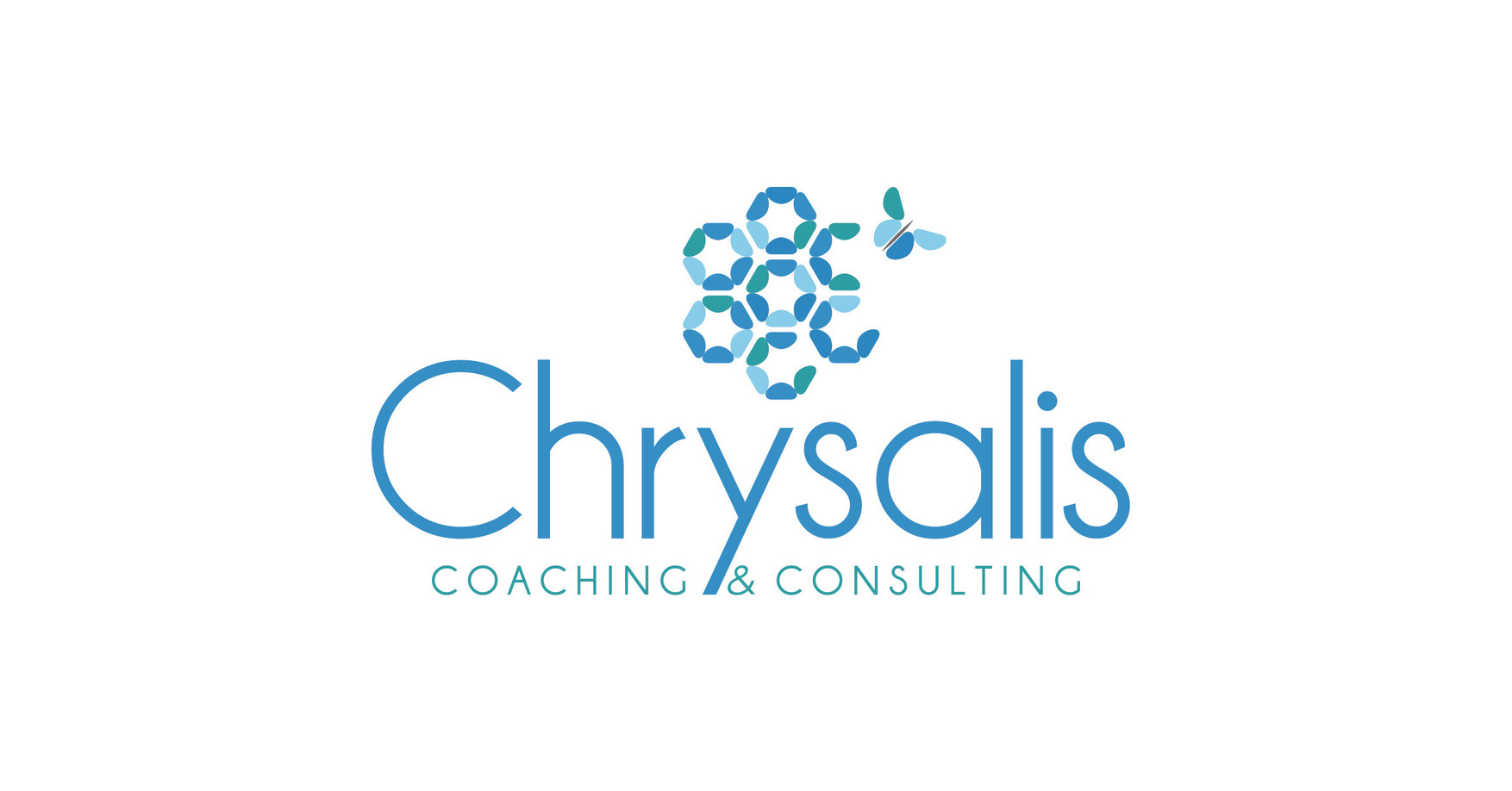 Chrysalis Coaching & Consulting and Big Sister Association Partner to ...