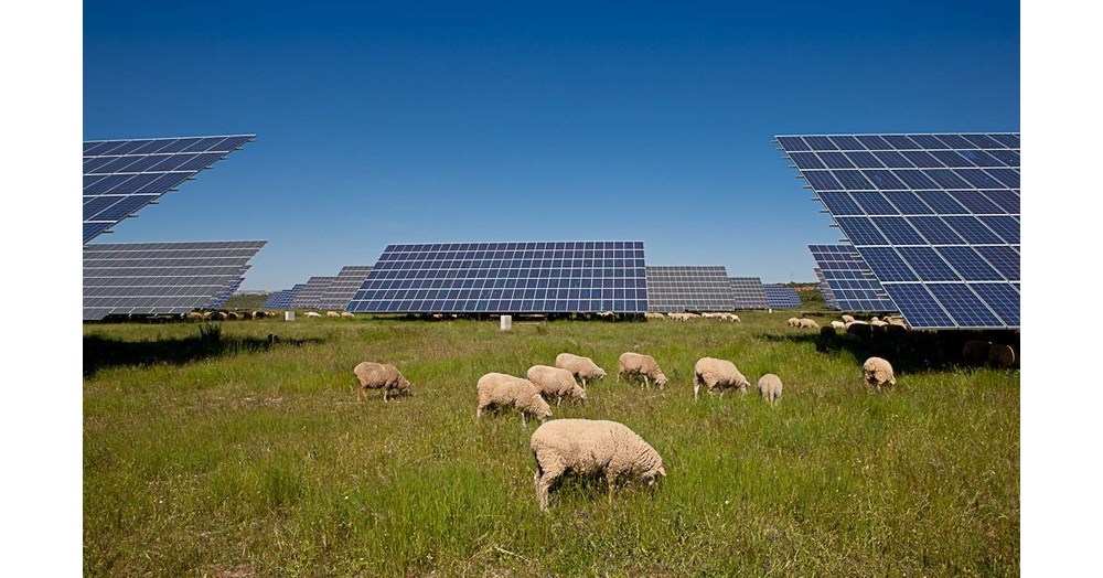 ALTEN Energías Renovables Wins, in Namibia, One of the Biggest Solar PV ...