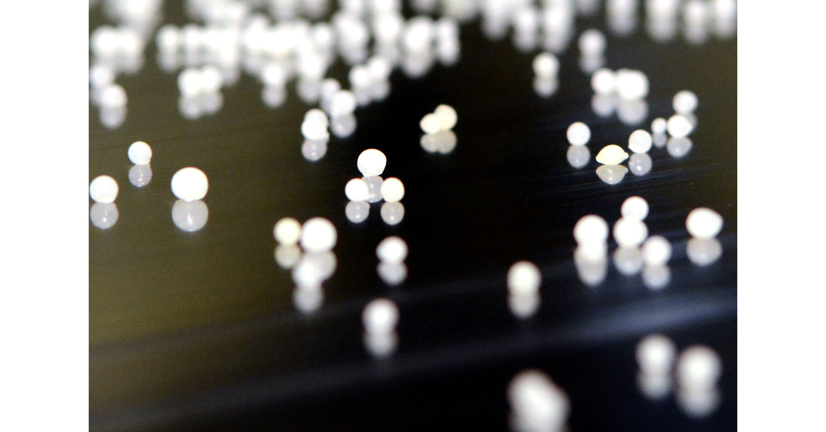 GreenMantra™ Technologies Introduces New Ceranovus™ Polypropylene Waxes ...