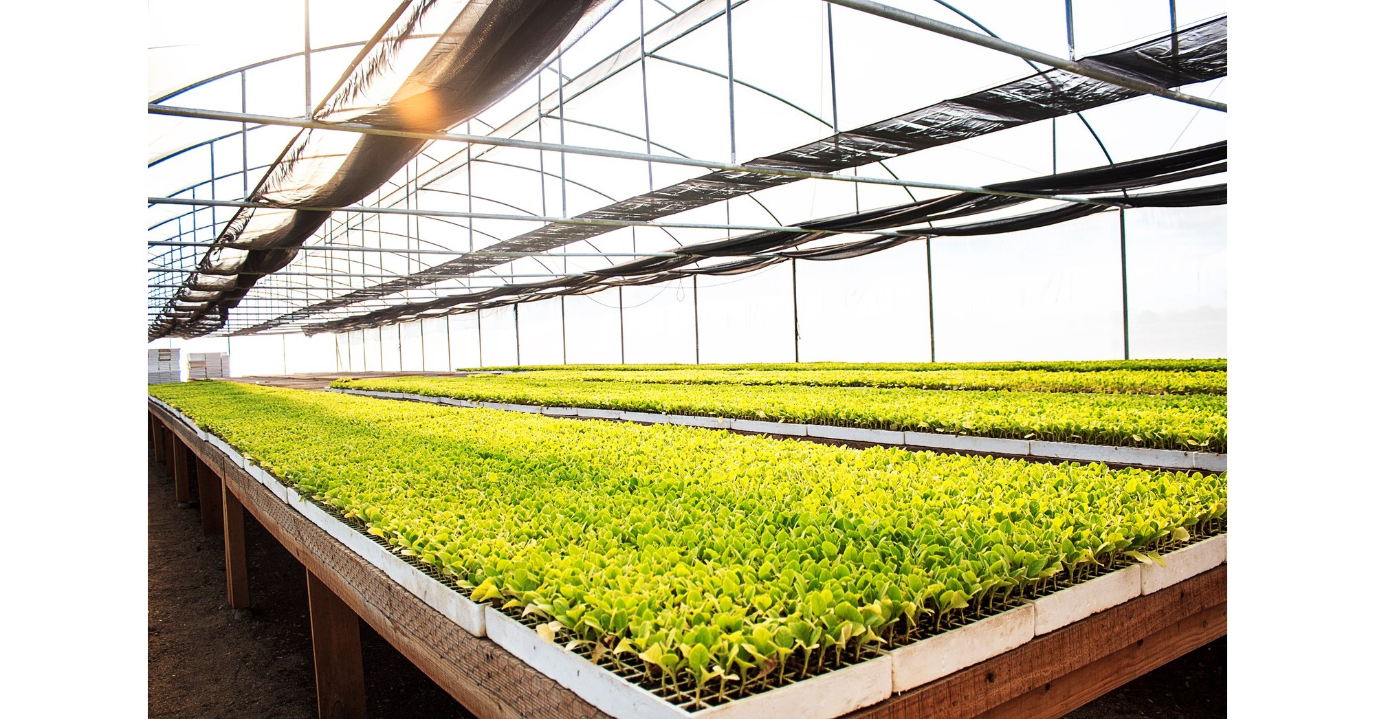 Oettinger Davidoff AG officially opens its new factory in Danlí, Honduras