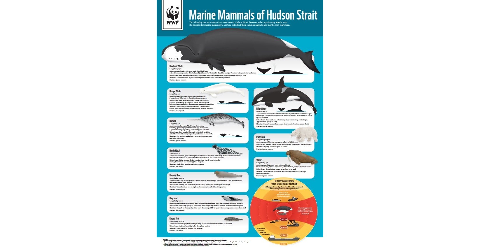 New WWF guide helps ships avoid vulnerable Arctic species