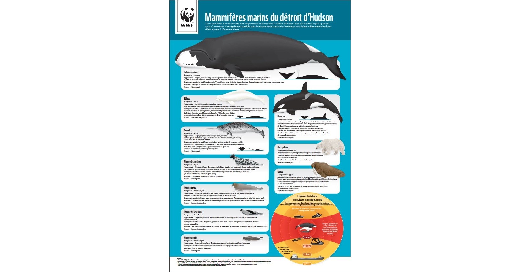 Un nouveau guide du WWF aide les navires à éviter les espèces arctiques ...