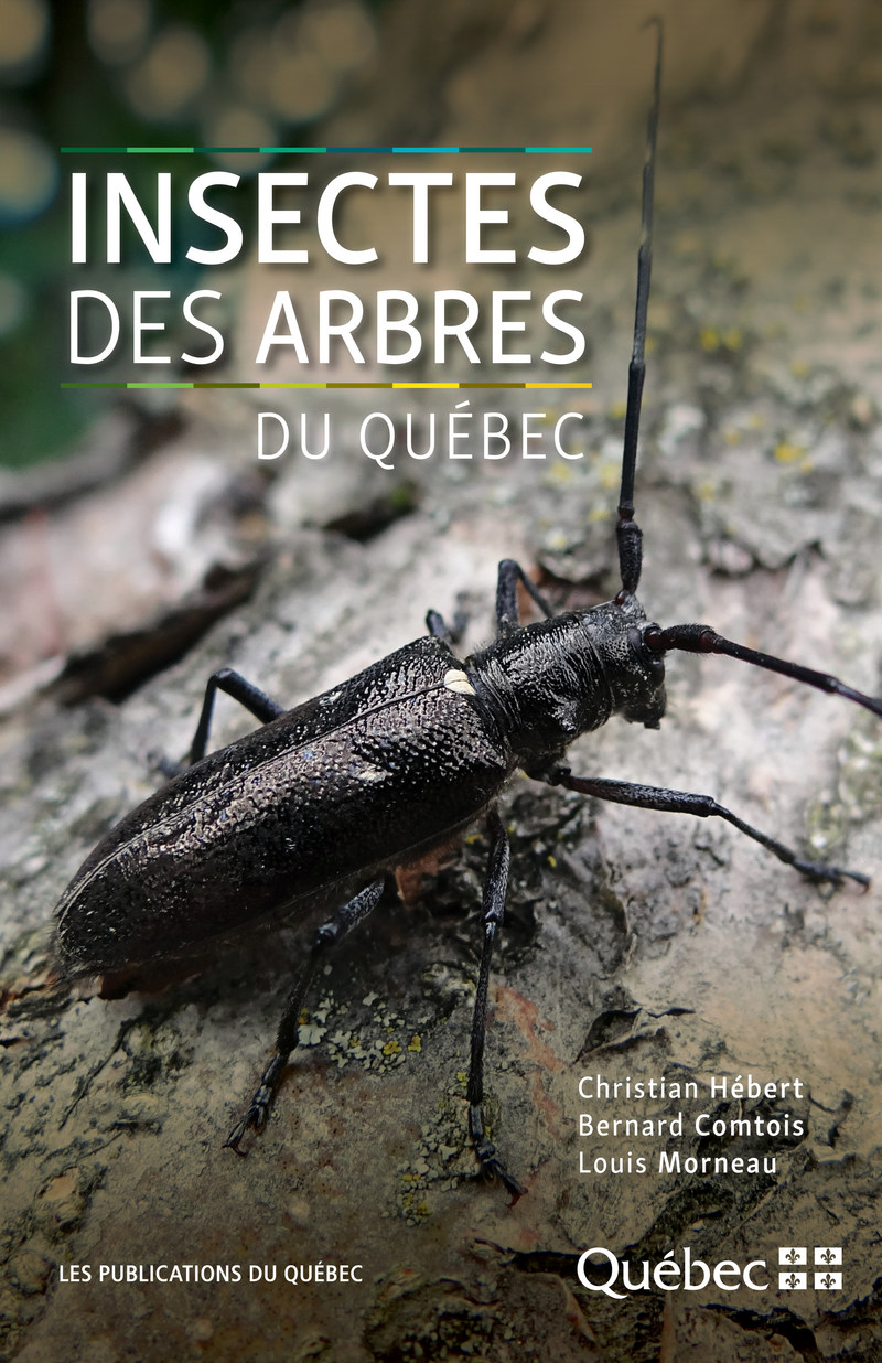 Parution du livre Insectes des arbres du Québec - Un ouvrage ...