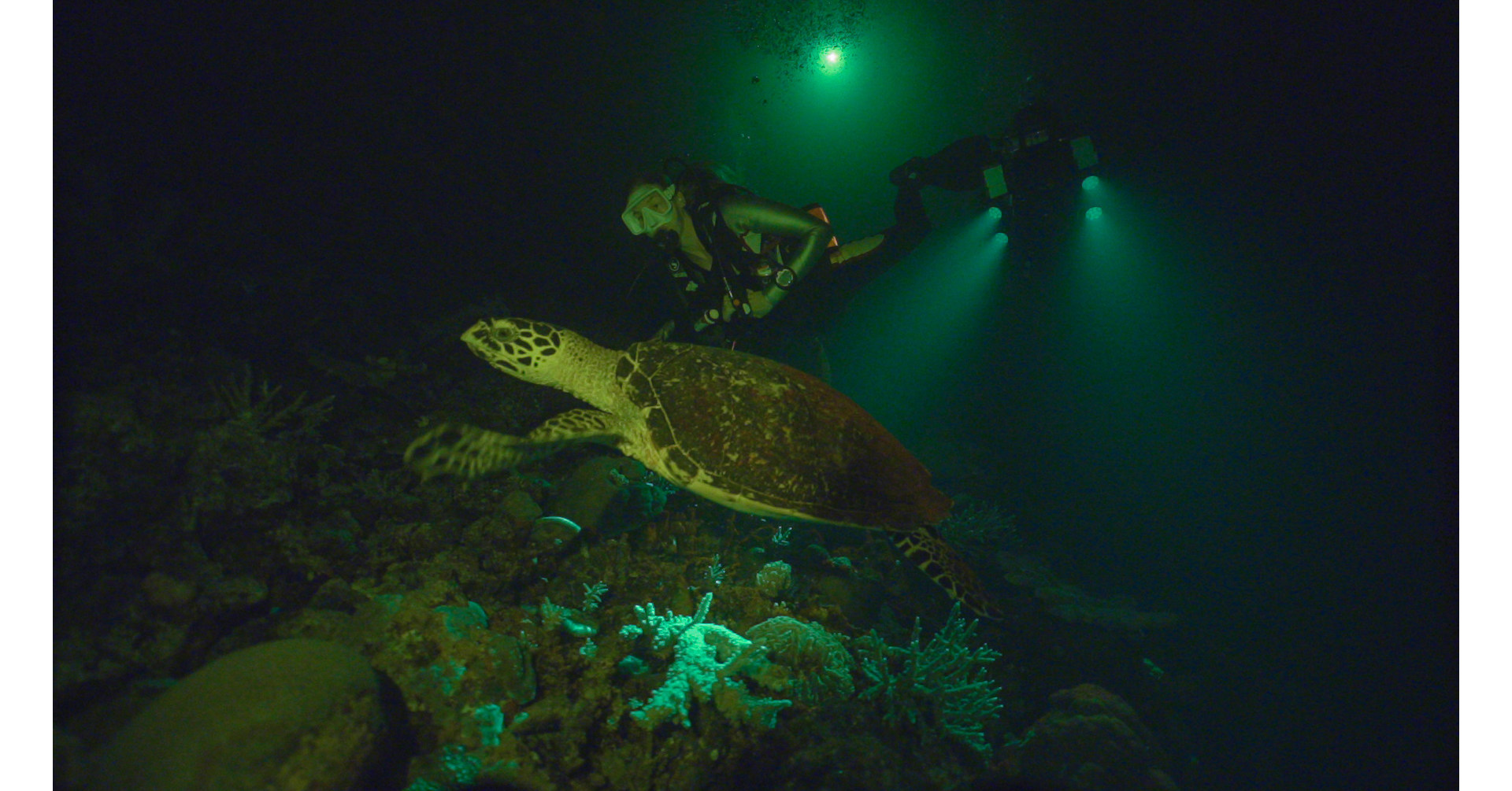 Pushing Visual Boundaries Deep Under The Sea, On Land And Up Into Space ...