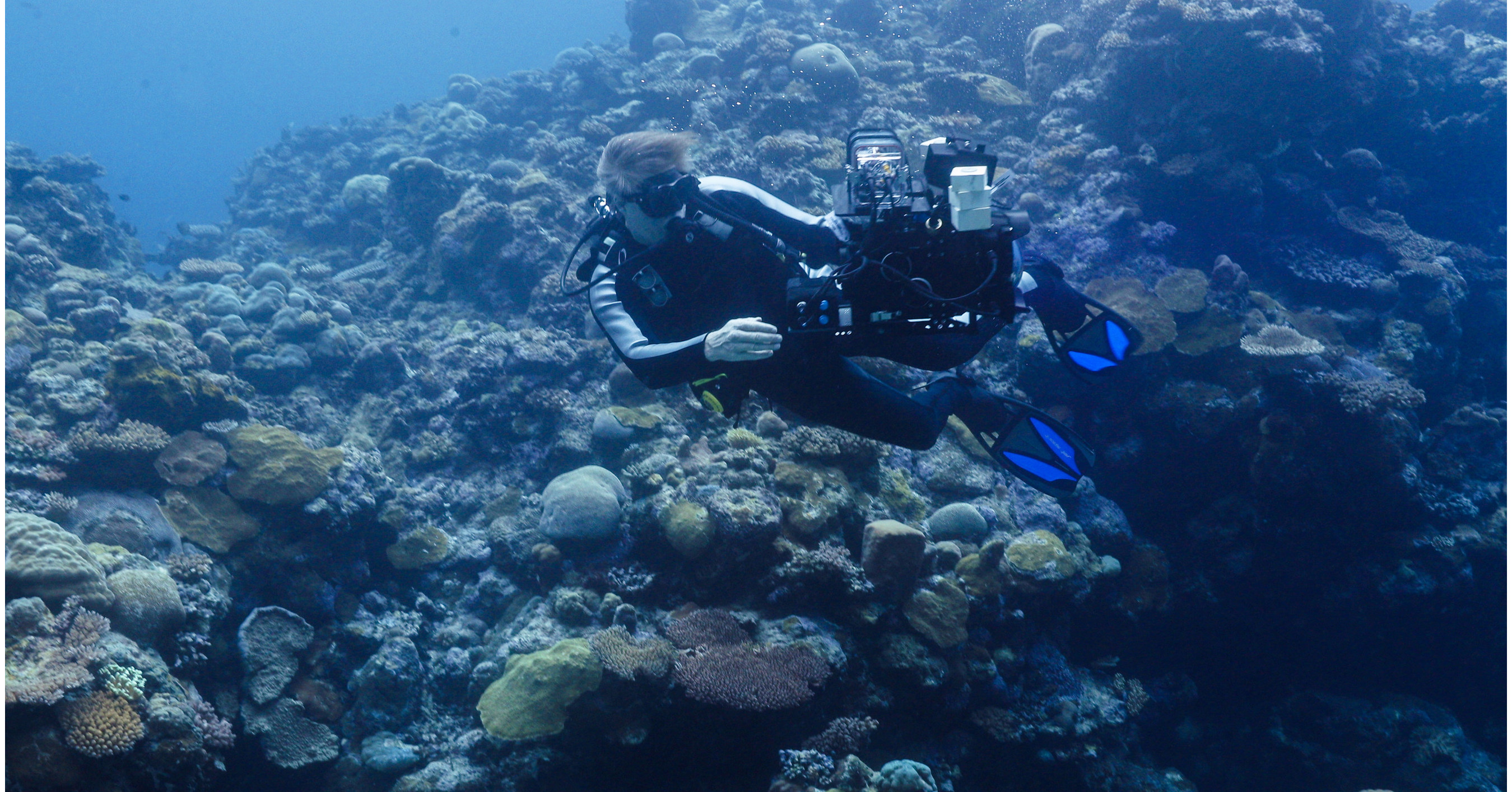 Pushing Visual Boundaries Deep Under The Sea, On Land And Up Into Space ...